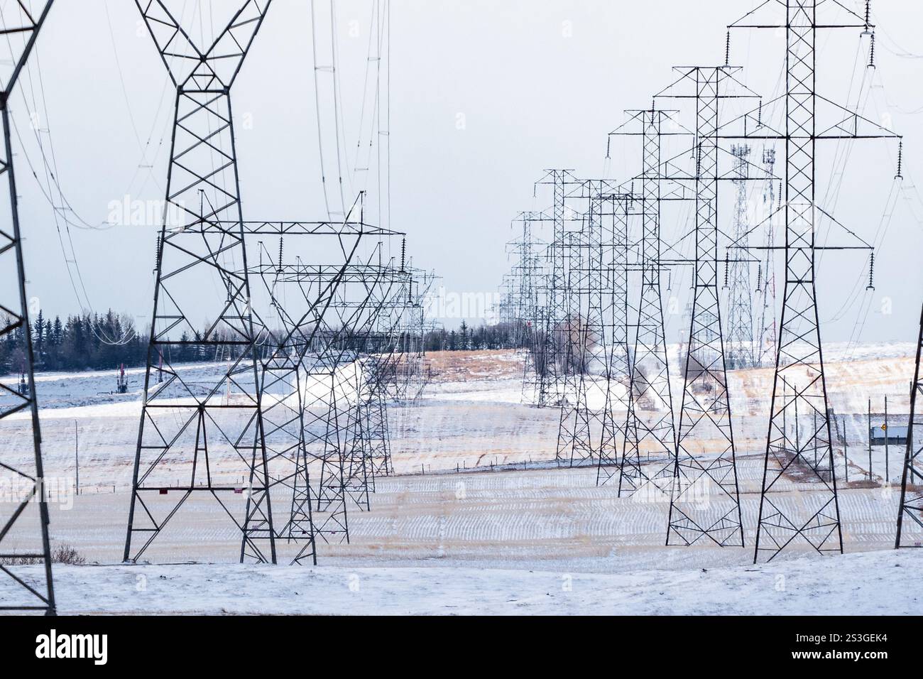 Power pole rows with electrical lines supplying energy to the power ...