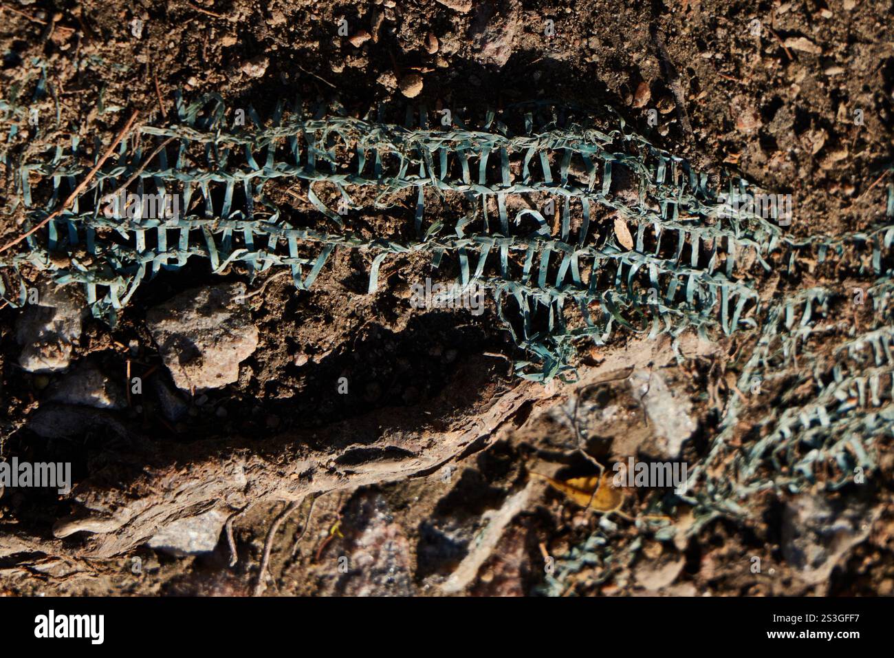 Detailed Ground Textures Featuring Copper Hues Alongside Organic ...