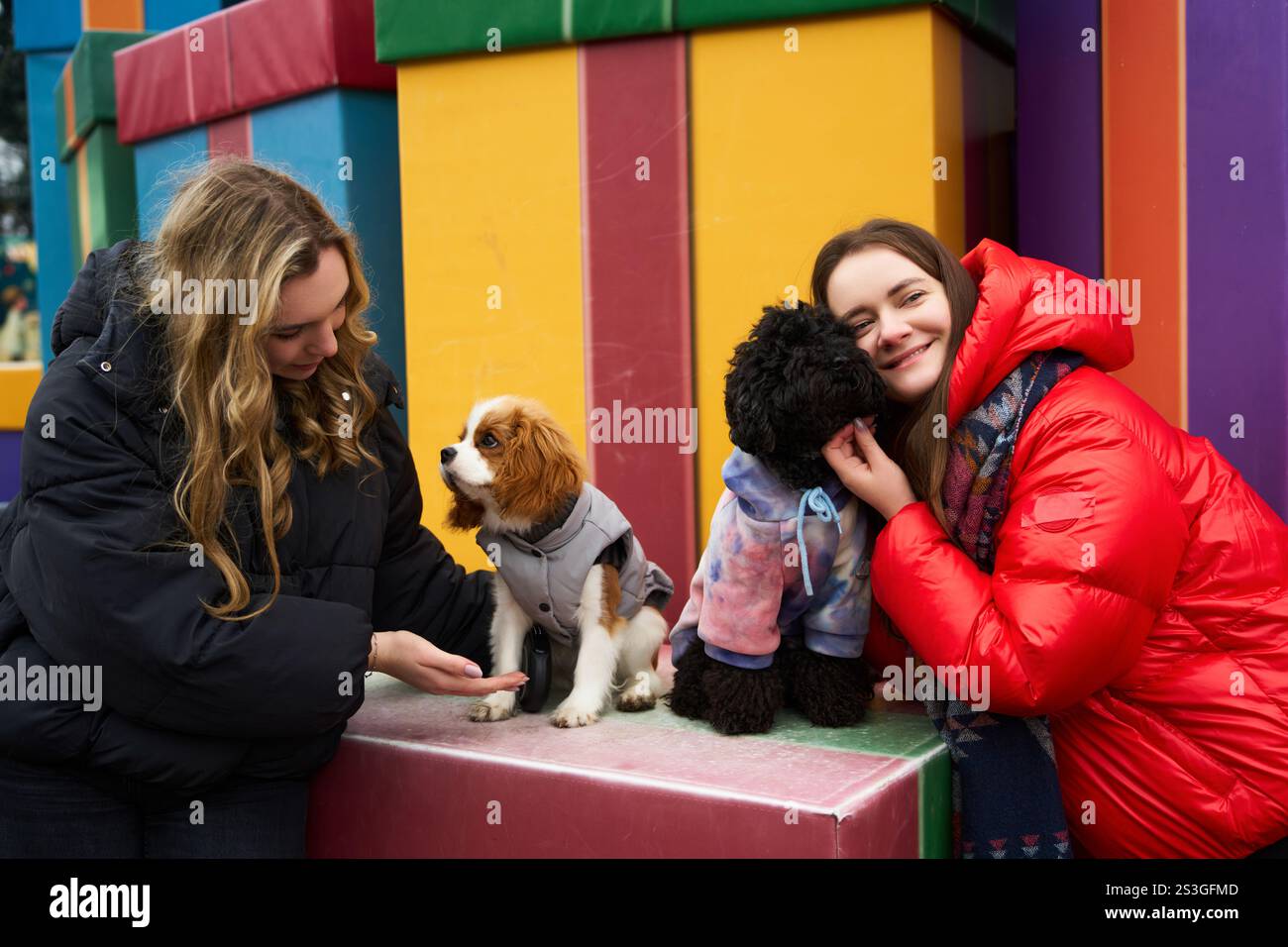 Two women with three dogs enjoying a playful moment in a colorful ...