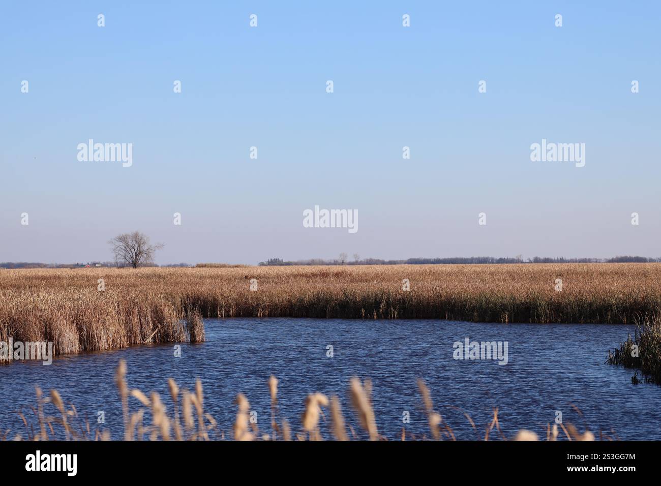 deep blue open water in prairie marsh reflects deep blue sky above ...