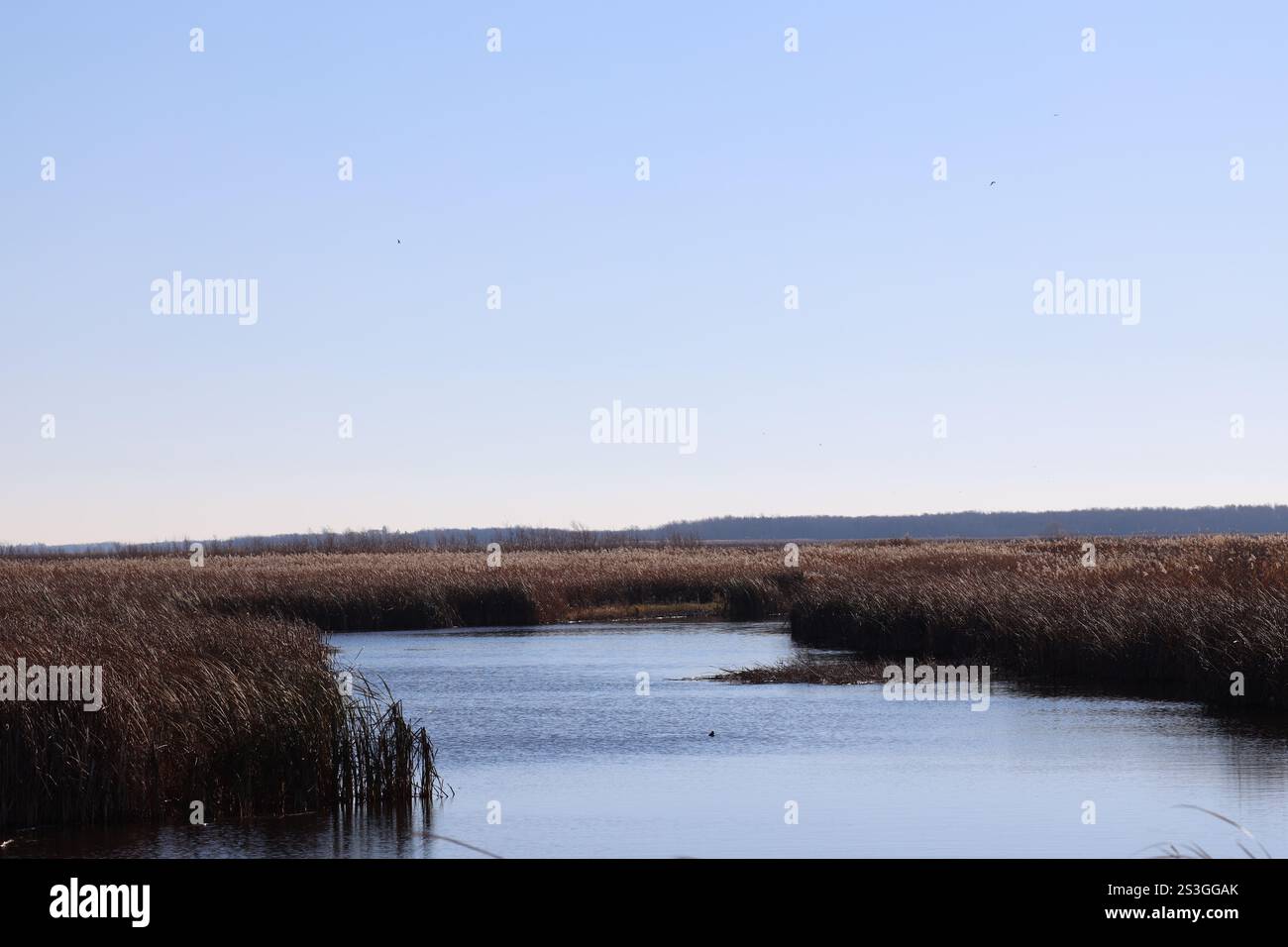 Tundra lake wetland hi-res stock photography and images - Alamy