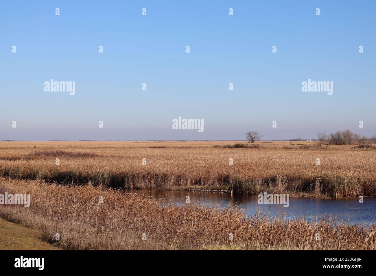 Grain horizon hi-res stock photography and images - Alamy