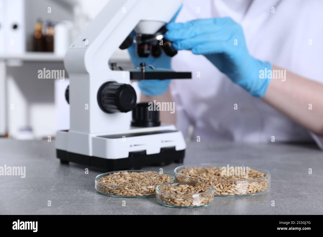 Laboratory testing. Scientist examining sample under microscope at grey ...