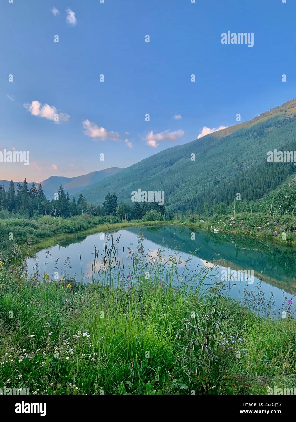 Aspen postcard scenery hi-res stock photography and images - Alamy