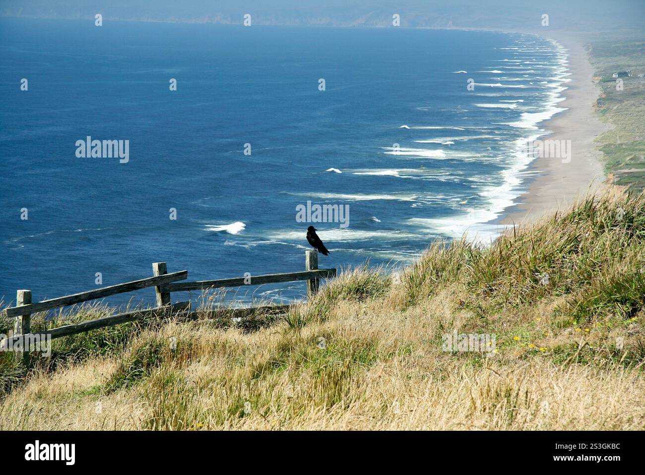 Point reyes hike hi-res stock photography and images - Alamy