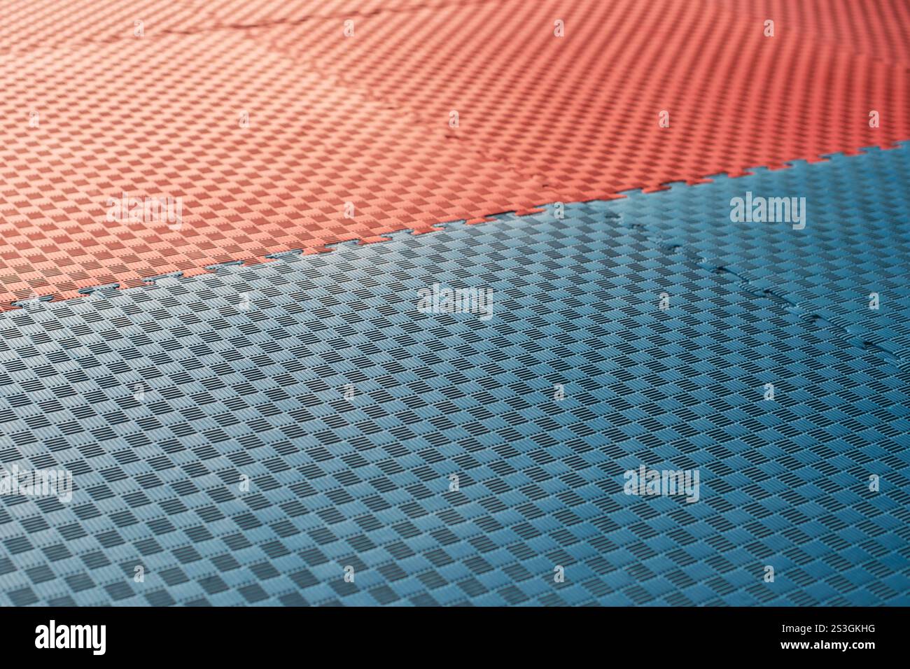 Red and blue karate dojo. Foam puzzle mat for martial arts exercises ...