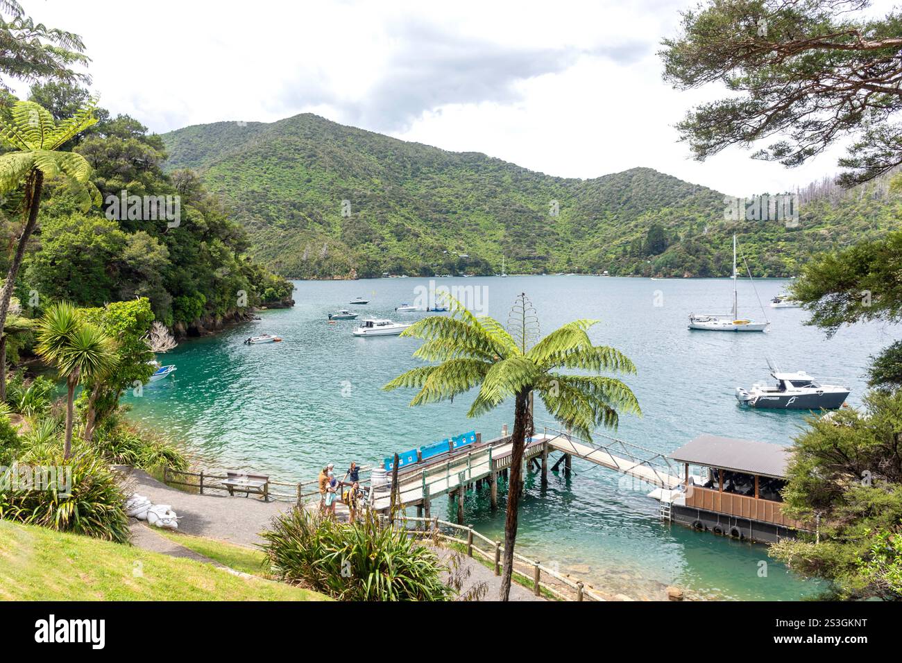 Jetty wharf boats aquarium at lochmara lodge landscape fern pung hi-res ...