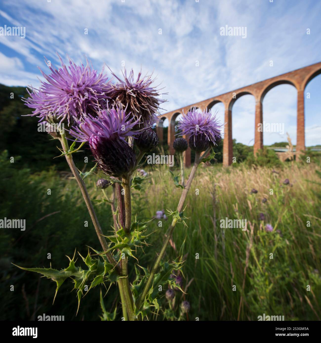Leaderfoot Viaduct, disused Victorian feat of railway engineering ...