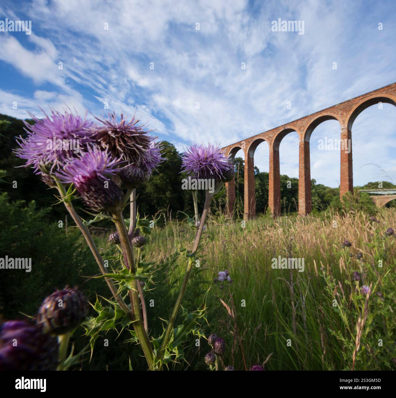 Leaderfoot Viaduct, disused Victorian feat of railway engineering ...