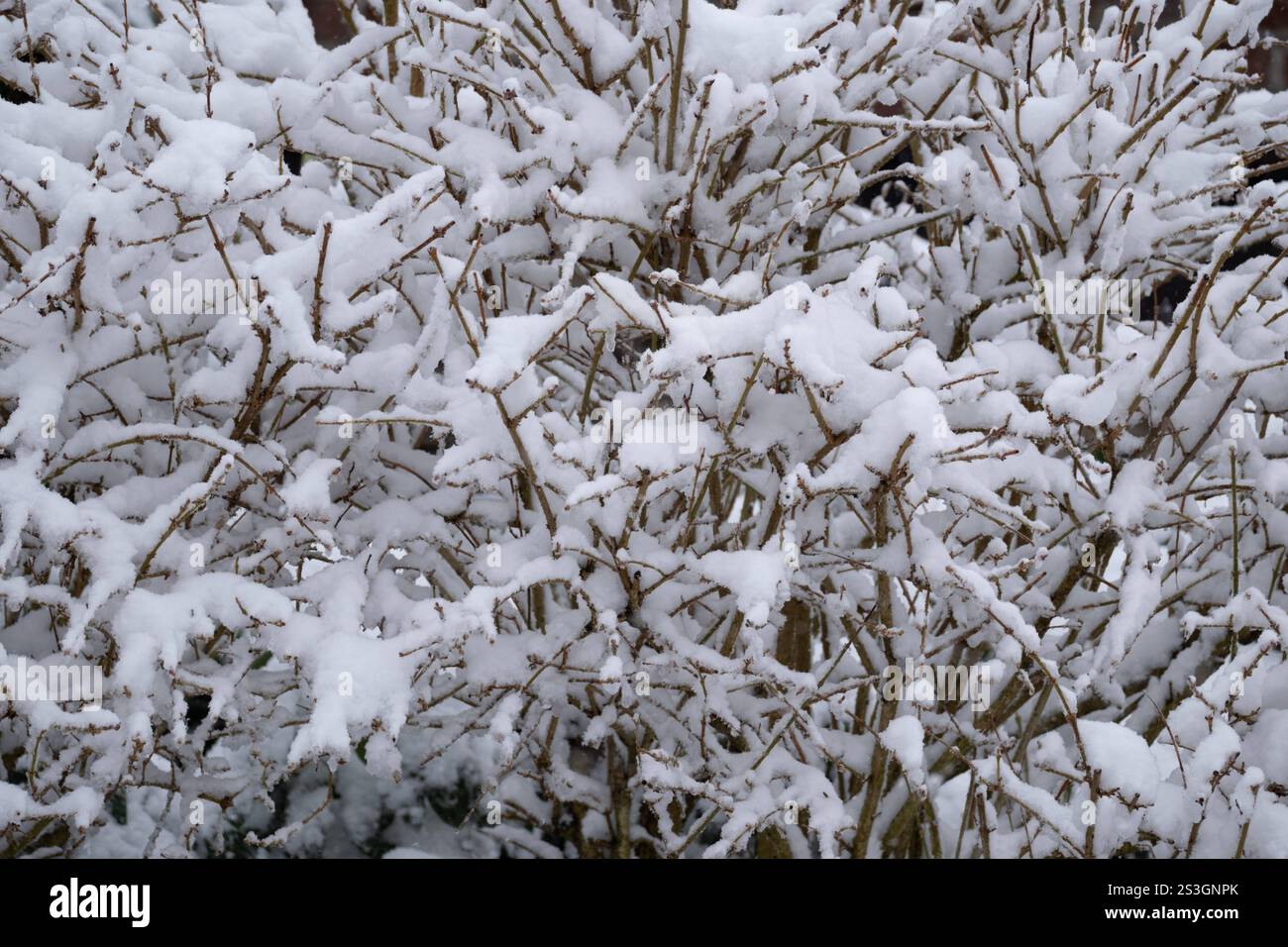 GERMANY - AACHEN - SNOW Stock Photo - Alamy