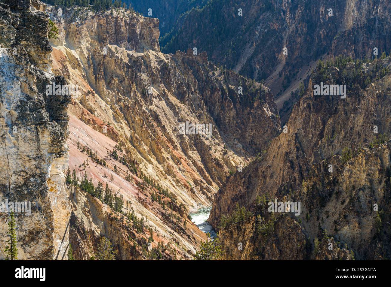 Close-up view of the Grand Canyon of the Yellowstone and the river seen ...