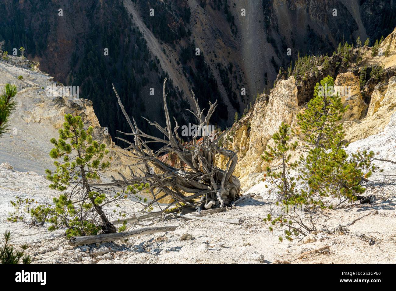The steep cliff of the Grand Canyon of the Yellowstone seen from the ...