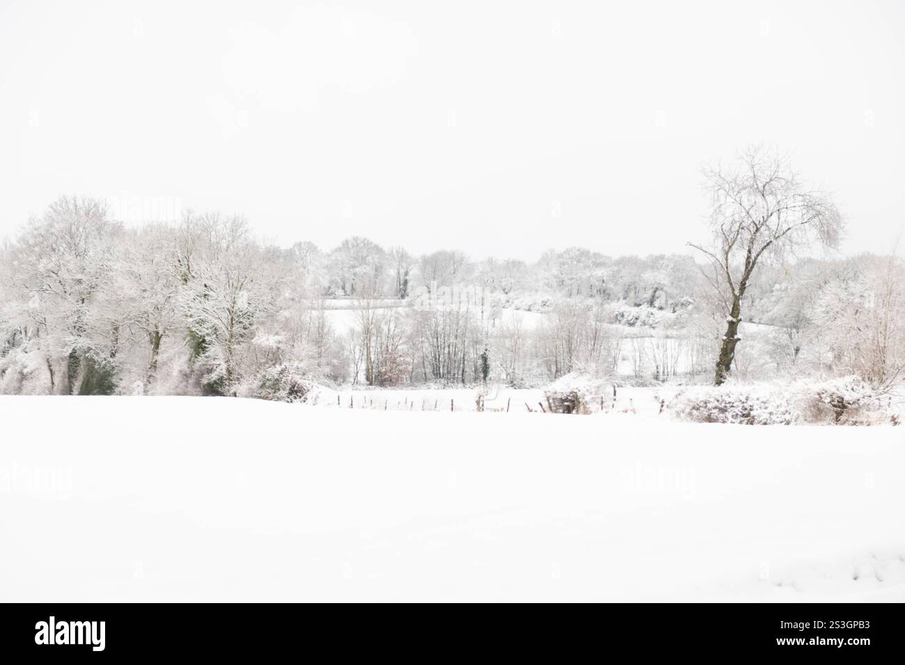 Schneebedeckte Landschaft und Feldwege in Aachen am 9. Januar 2025 ...