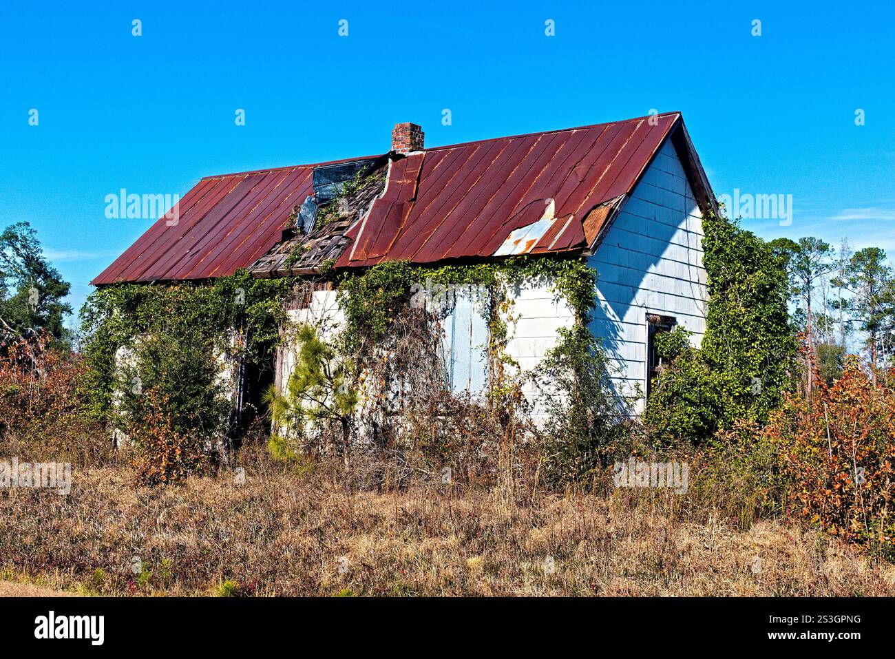 An old dilapidated farm house on the roadside that is overgrown and ...
