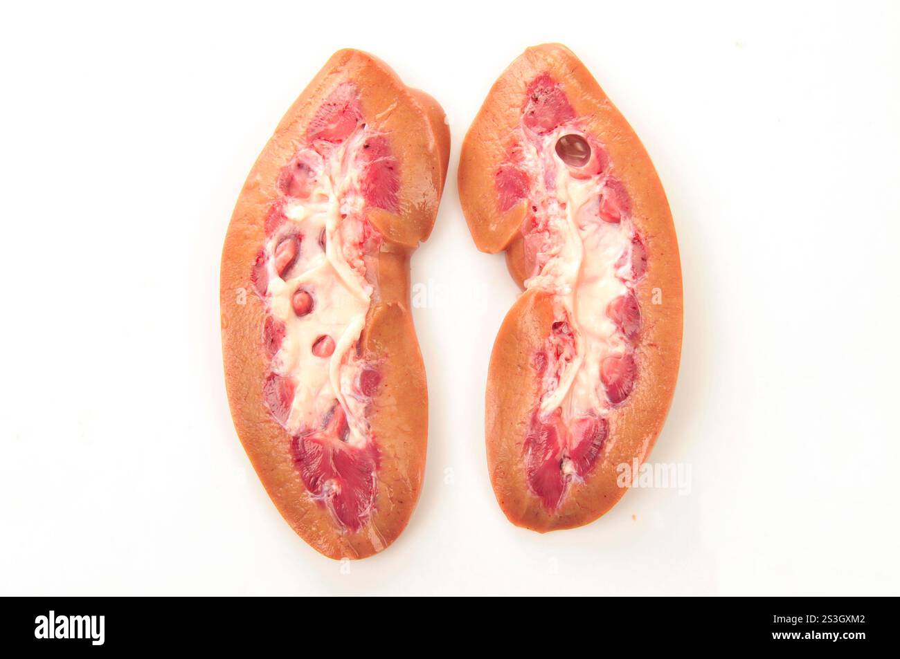 Pig kidney on a white background Stock Photo - Alamy