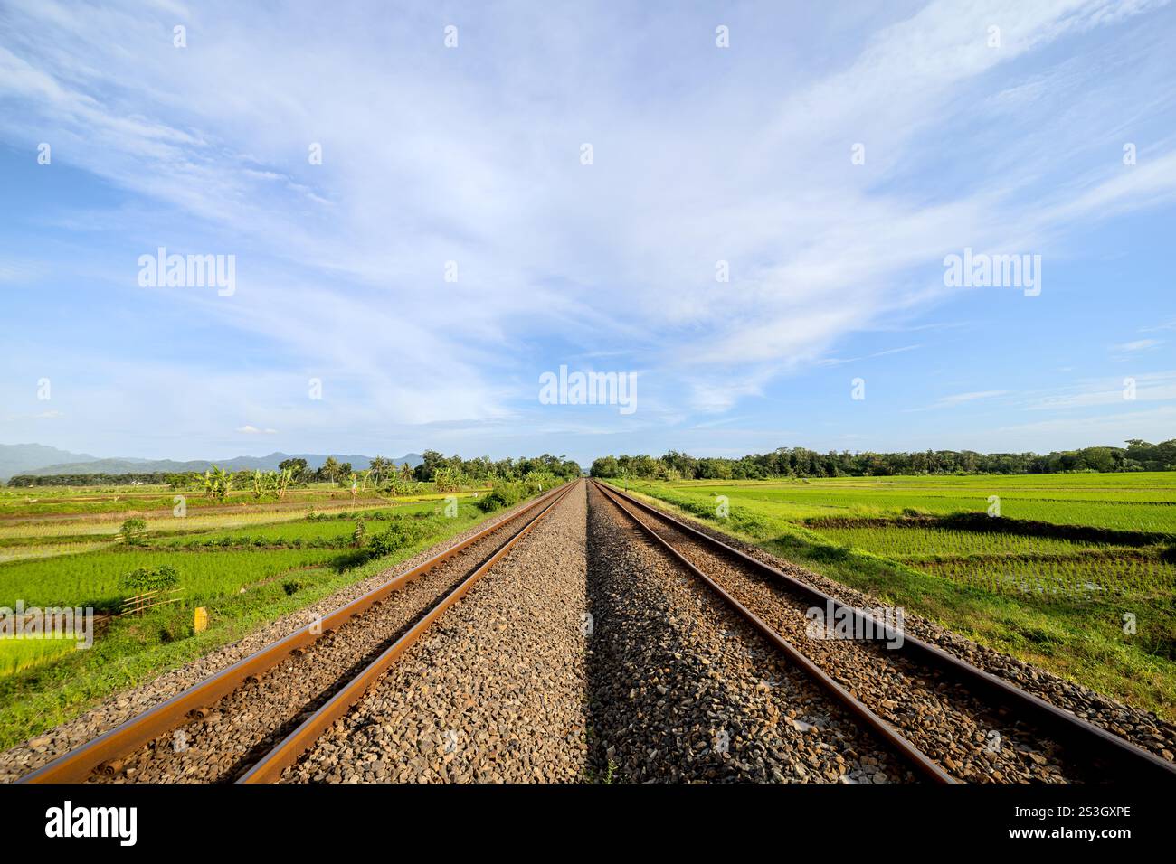 Railway Tracks Across Green Rice Fields on a Sunny Morning. Two-Way ...
