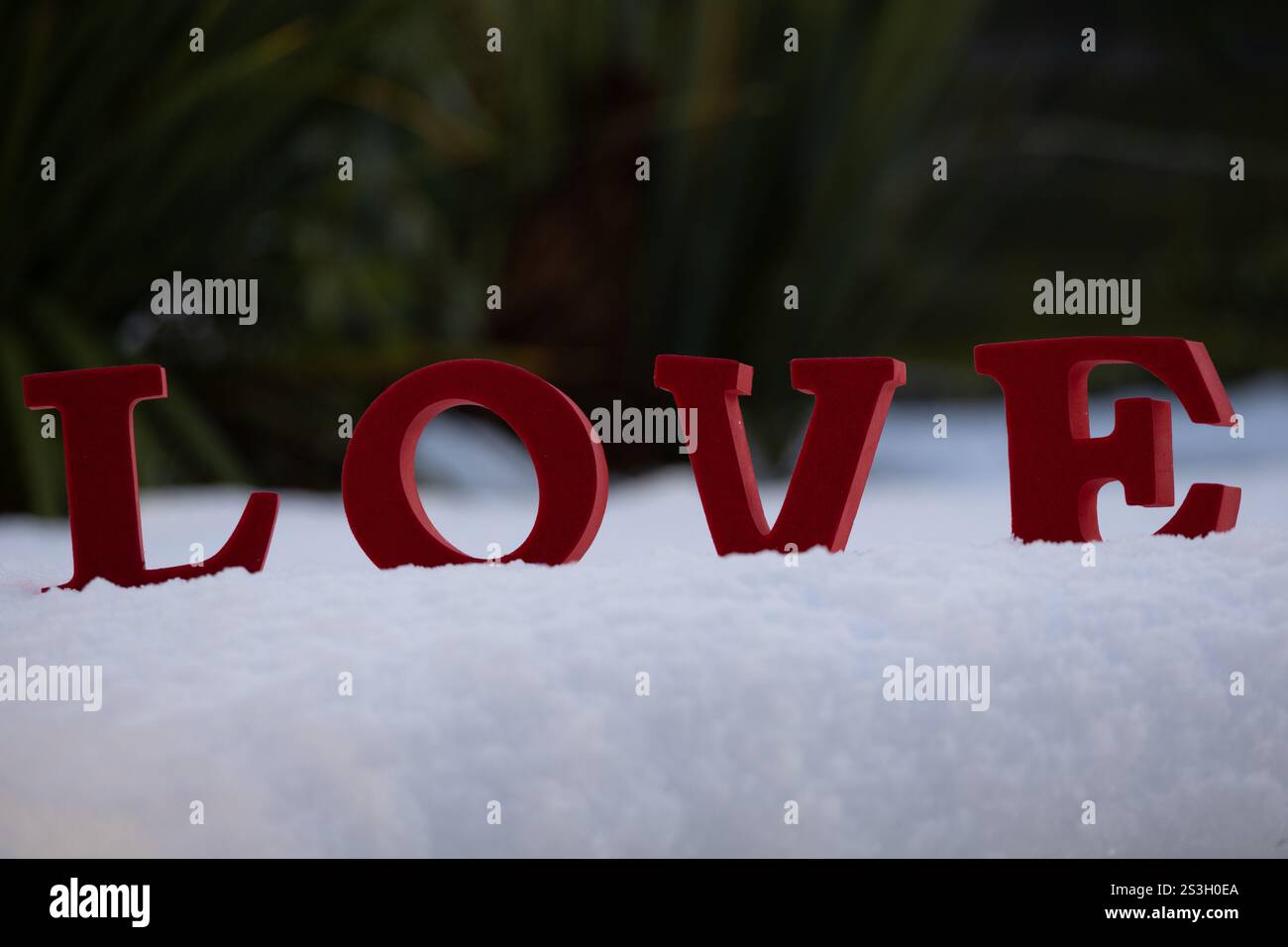 The word Love in red standing vertically on the snow with green ...