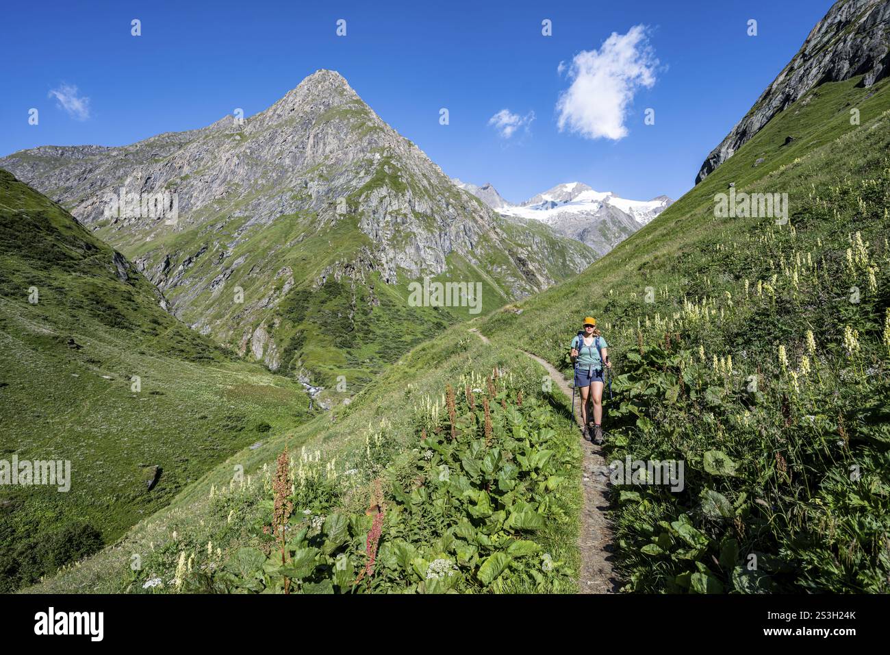 Isel river and austria and hiker hi-res stock photography and images ...