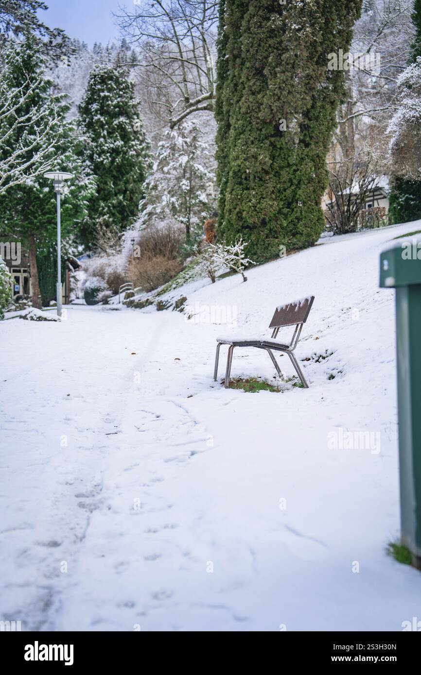 Tall trees creating snowy hi-res stock photography and images - Alamy
