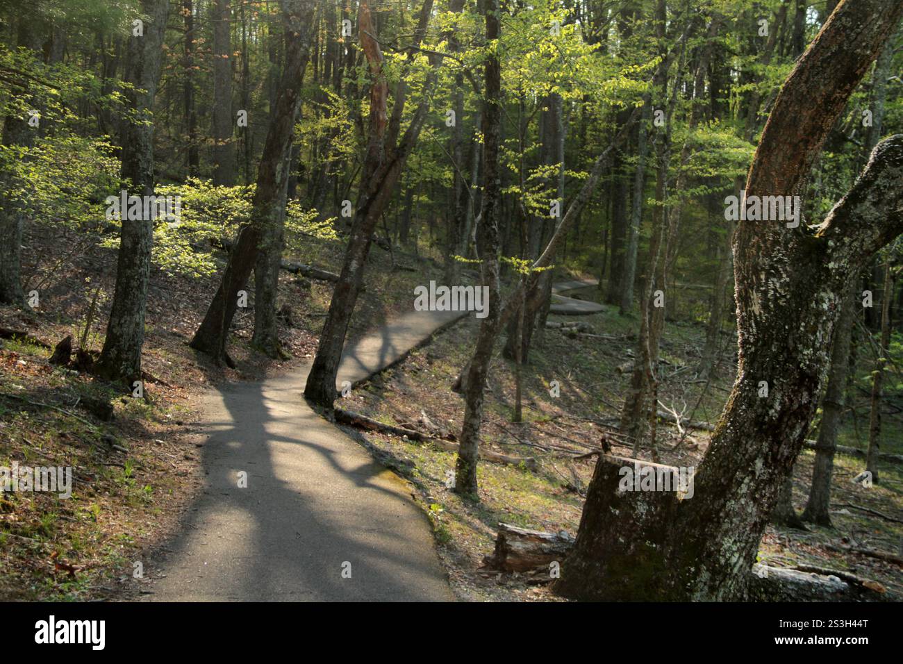 Peaks of Otter, Virginia, Blue Ridge Parkway, USA. Walking path through ...
