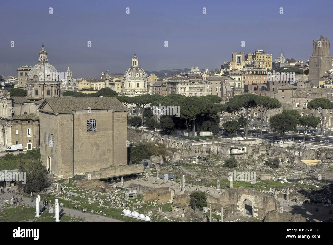 View of the Roman Forum from the palatine hill, Rome, Italy Rome, Italy ...