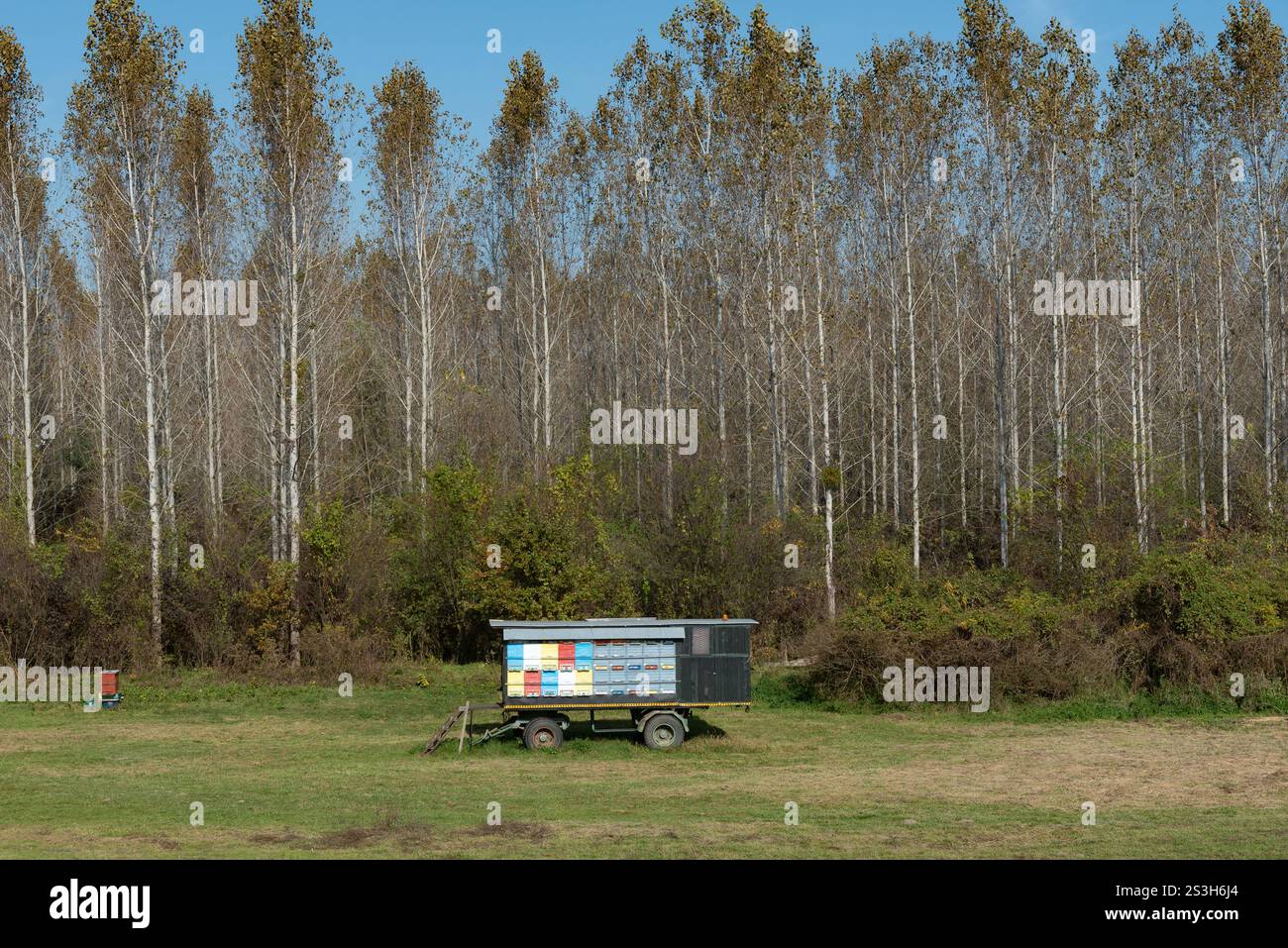 Apatin, Serbia. 26th Oct, 2024. Bee hives mounted on a farm trailer ...