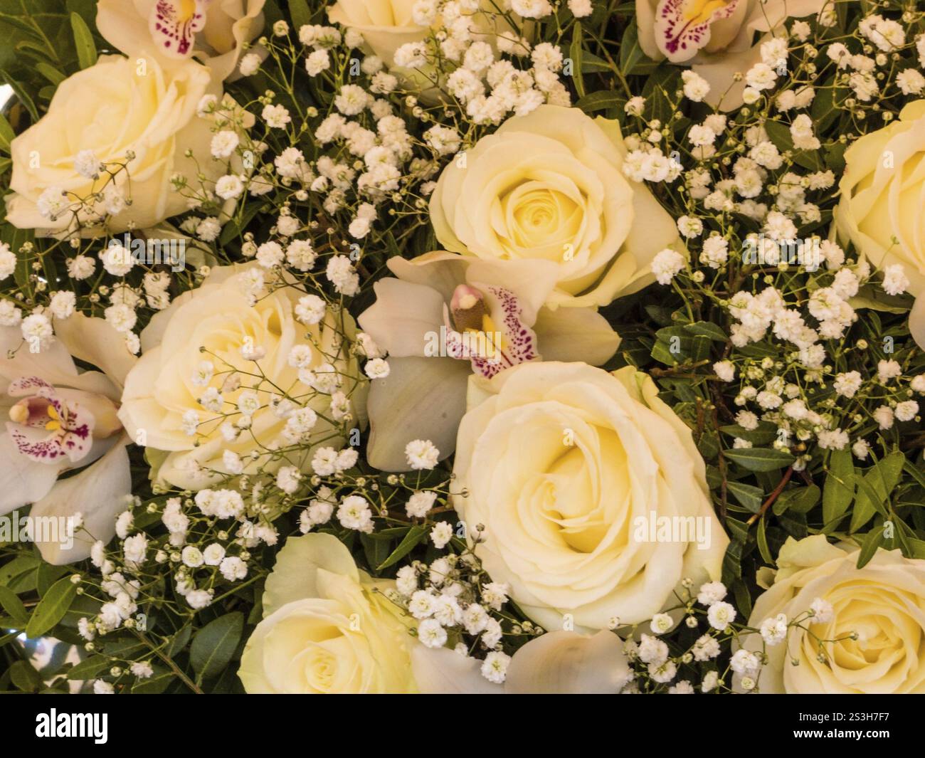 Different types of flowers at a flower market. Beauty of nature Austria ...