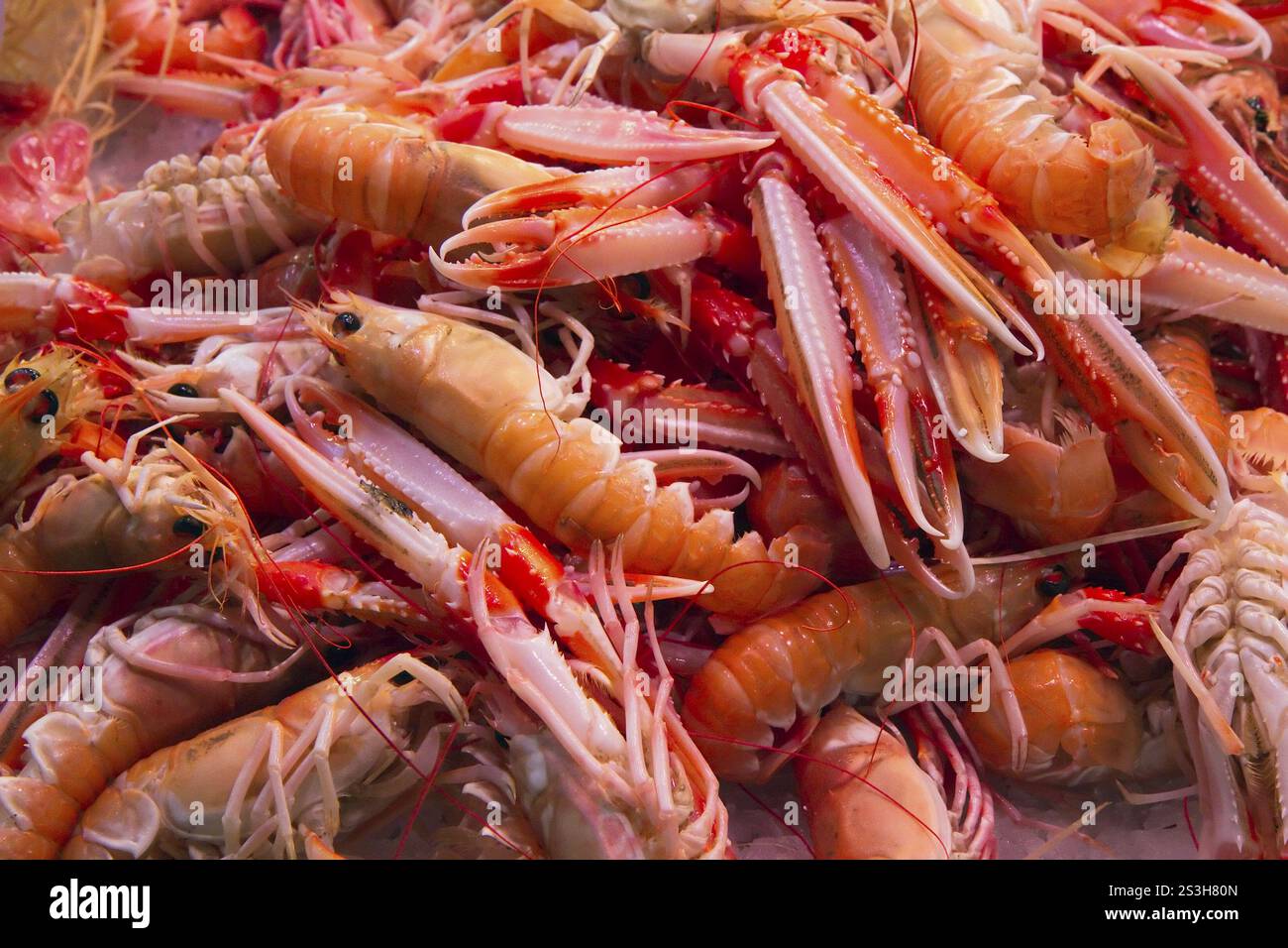 Catch of the day Fresh prawns at a market Barcelona, Spain, Europe ...