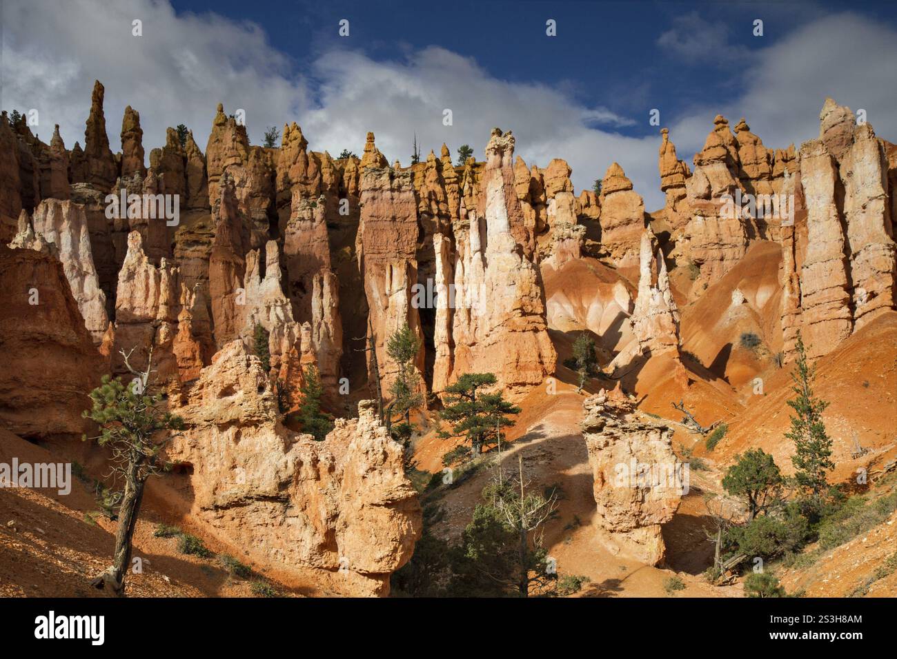 Panorama of Queens Stone Garden, Bryce Canyon National Park, Utah Stock ...