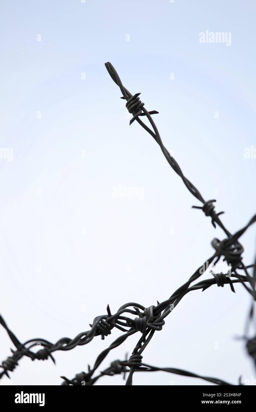 Barbed wire by a fence, Austria, Europe Stock Photo - Alamy
