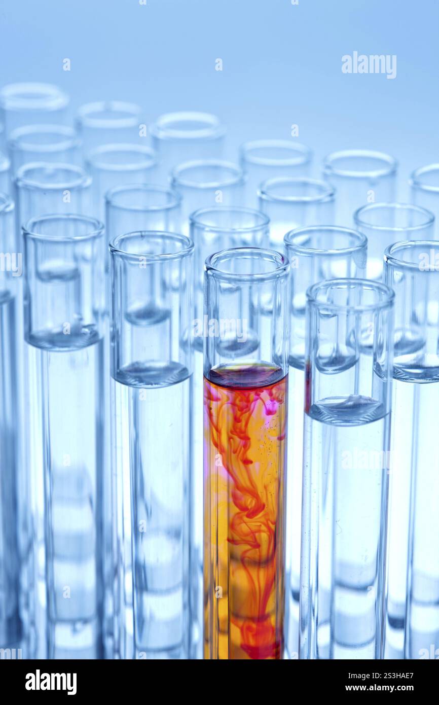 Test tubes for an experiment in the chemistry laboratory Stock Photo ...