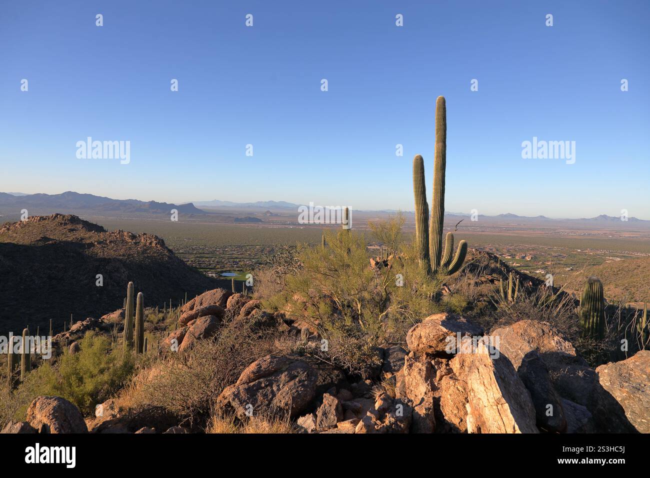 Alamo spring trail hi-res stock photography and images - Alamy