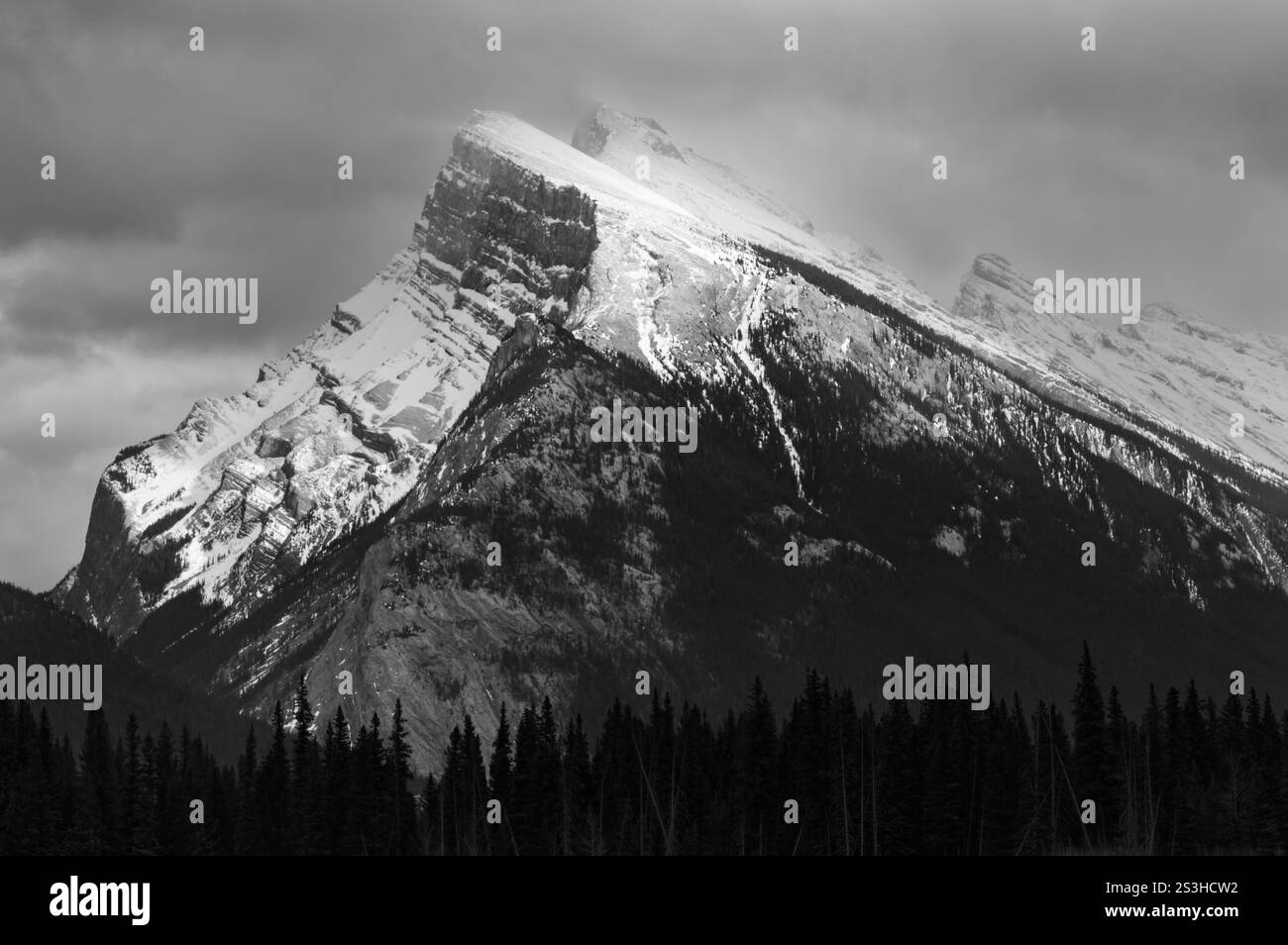 Rundle Black and White Stock Photos & Images - Alamy