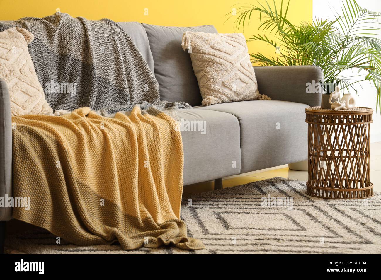 Cozy sofa with plaid, coffee table and houseplant in interior of living ...
