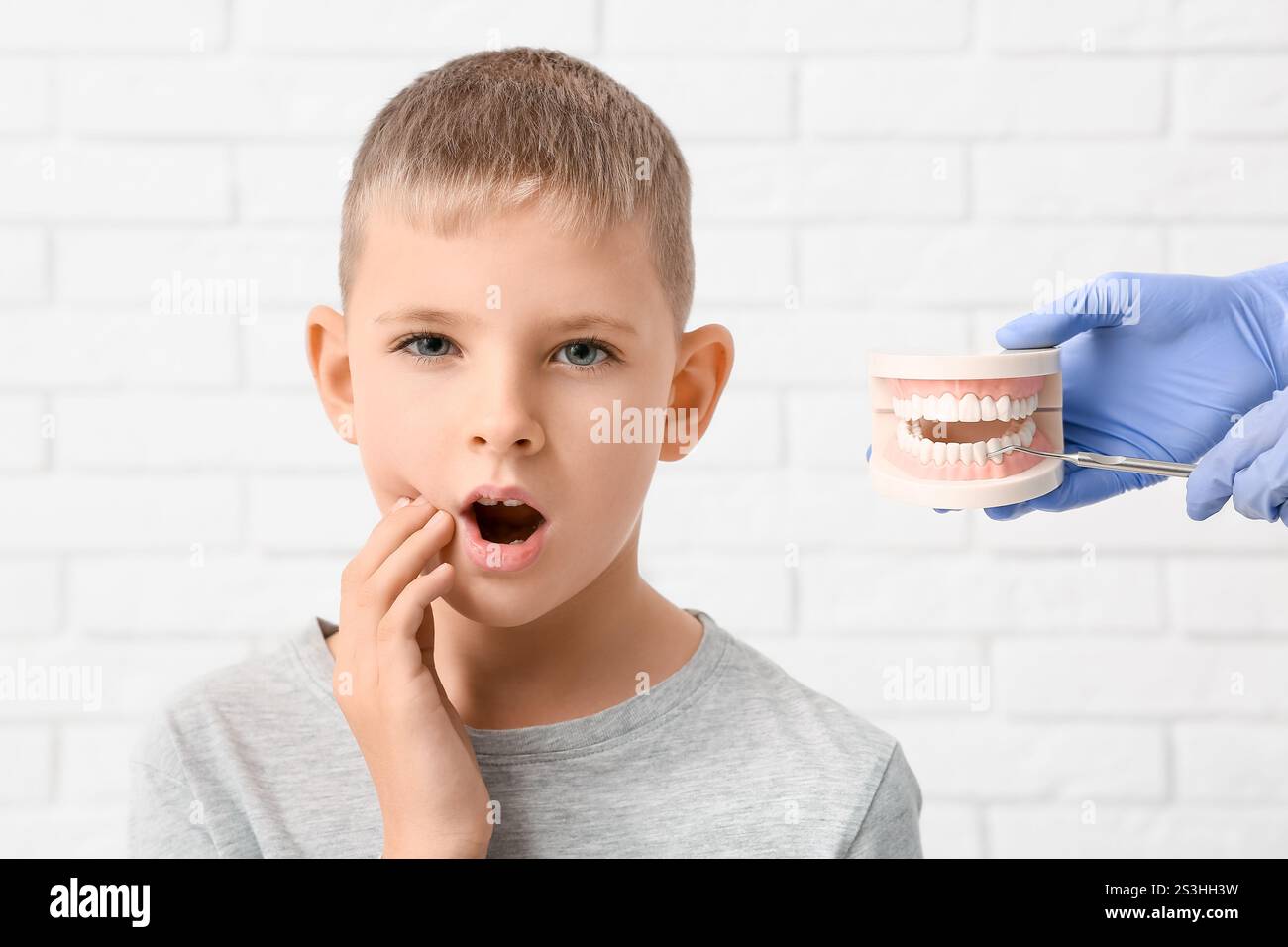 Little Boy With Tooth Ache And Hands Of Dentist Holding Model Of Jaw On