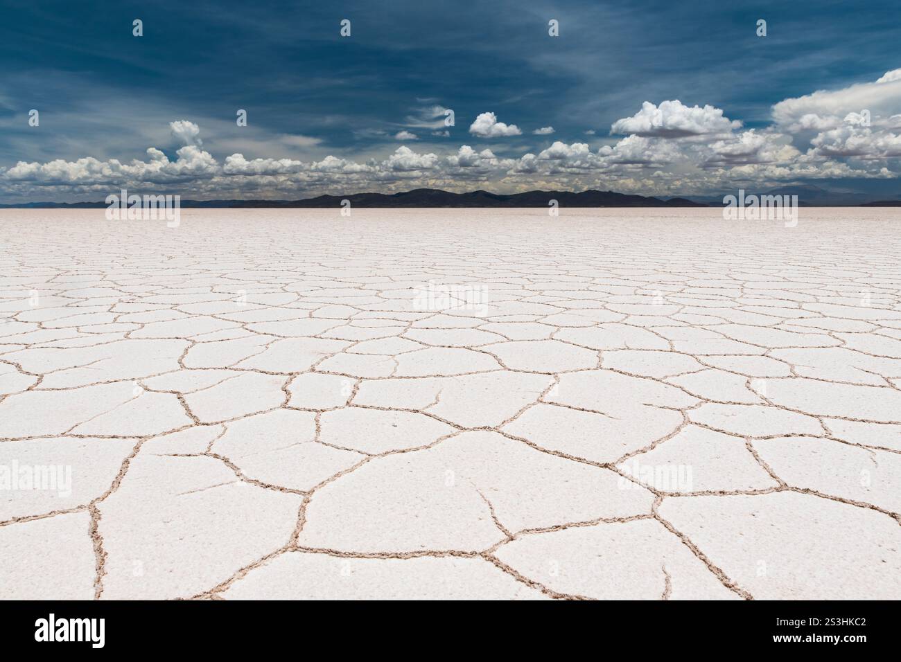 Hexagons shapes formed on dry salt flat Stock Photo - Alamy