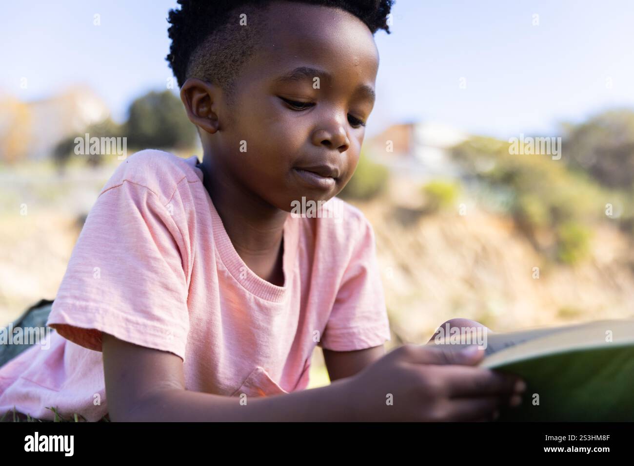 Reading book outdoors, young african american boy focusing on story ...