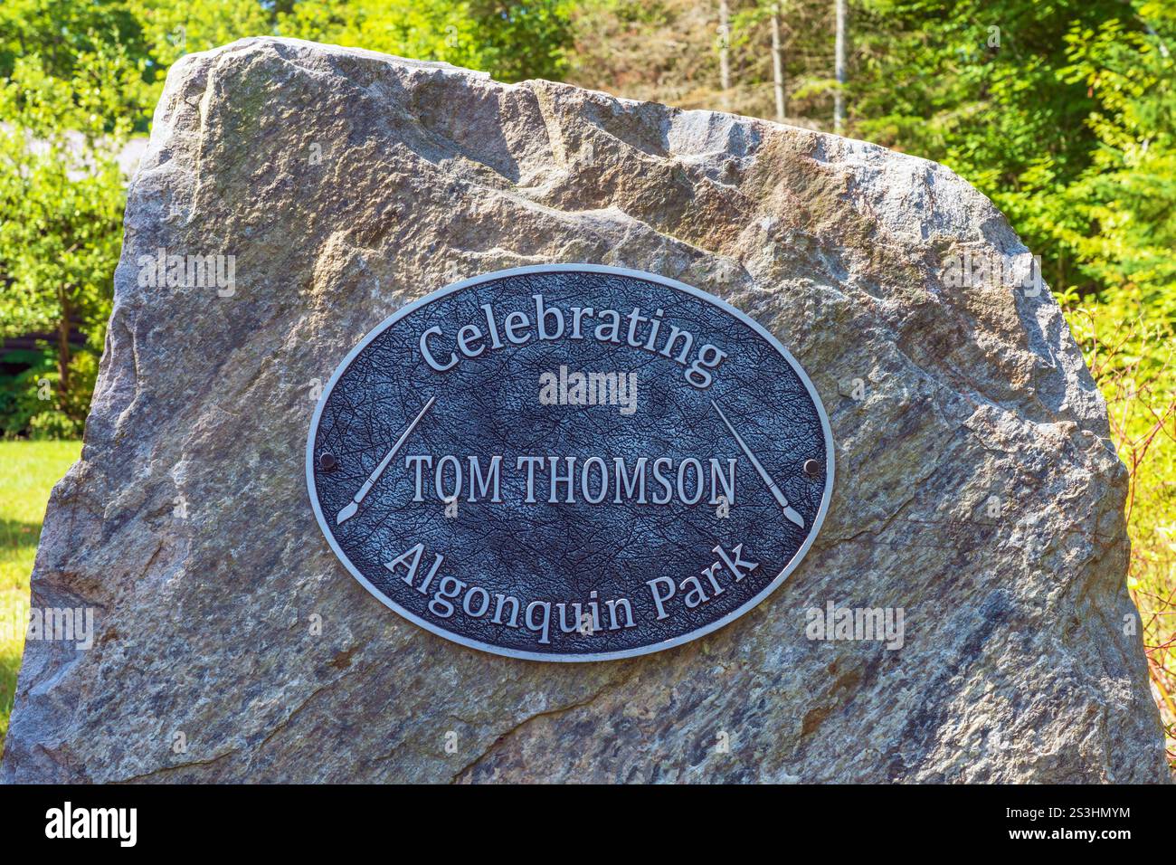 Tom Thomson was a prolific Canadian artist in the early 20th century ...