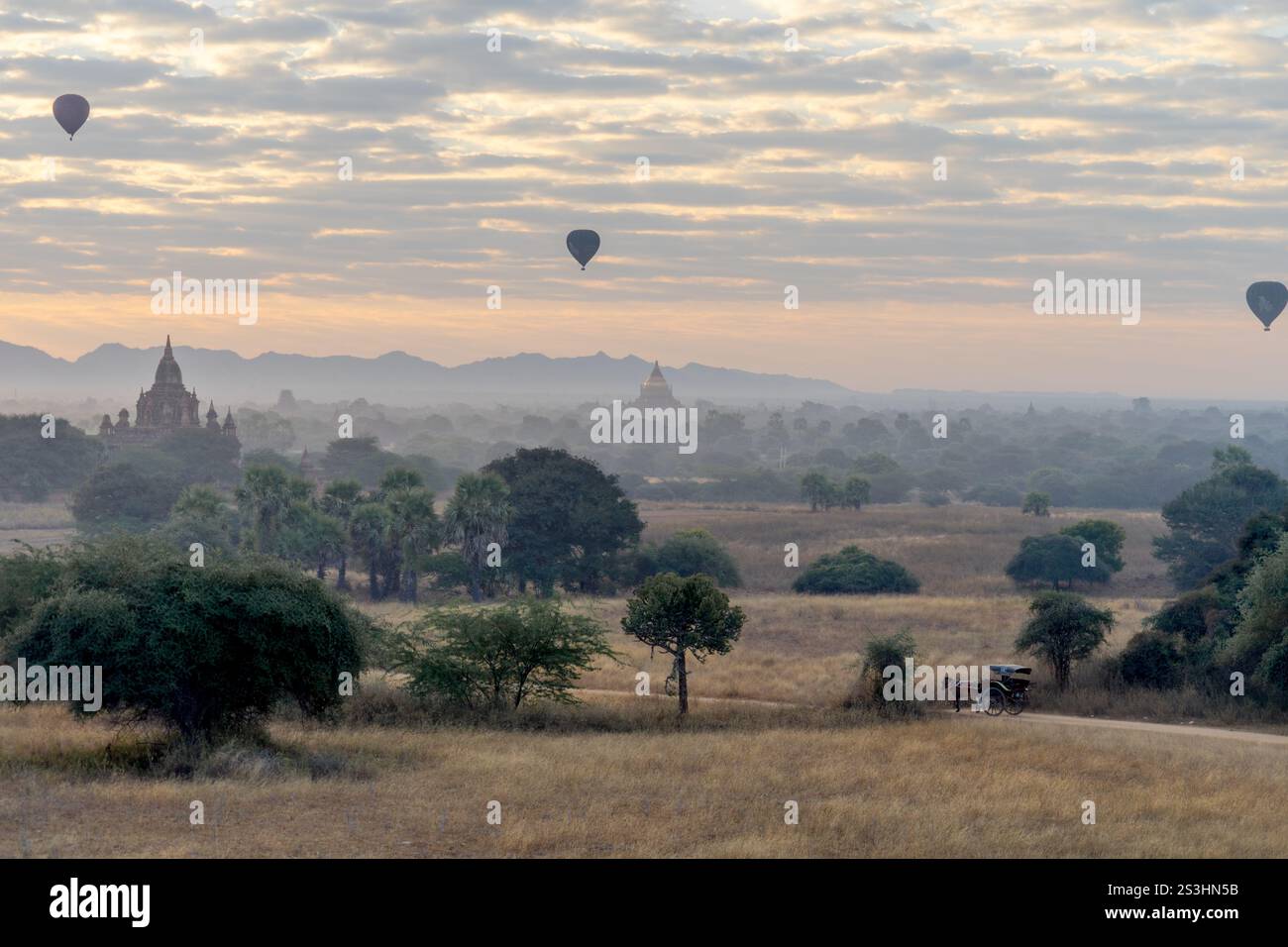 A misty morning in Bagan, Myanmar, with hot air balloons floating above ...