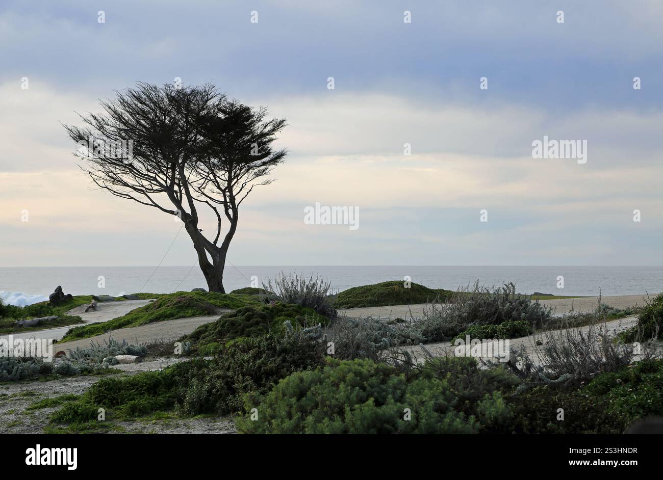 Lonely bay walk hi-res stock photography and images - Alamy
