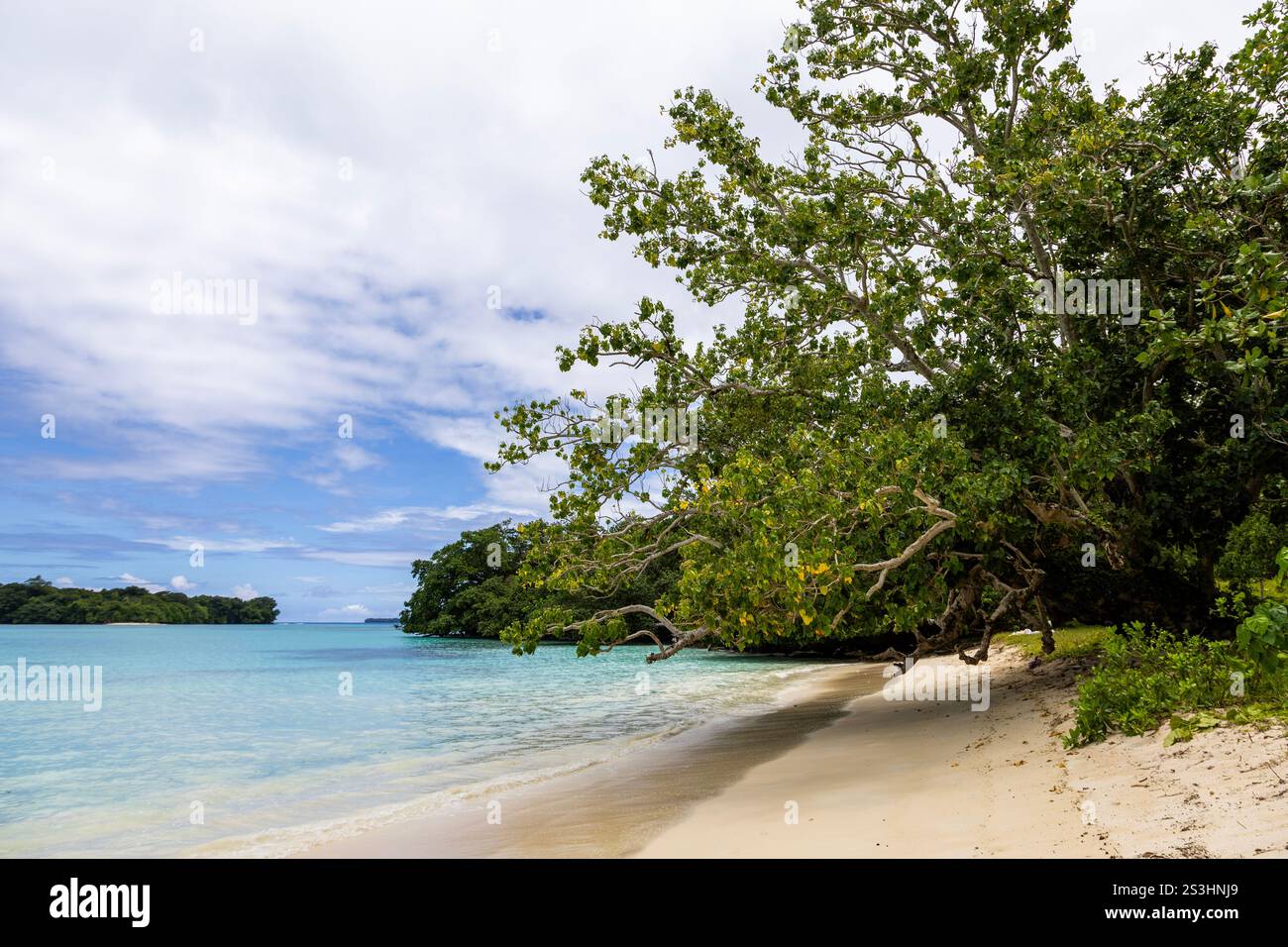 Port Olry is a rustic blue waters beach on the picturesque coast of ...