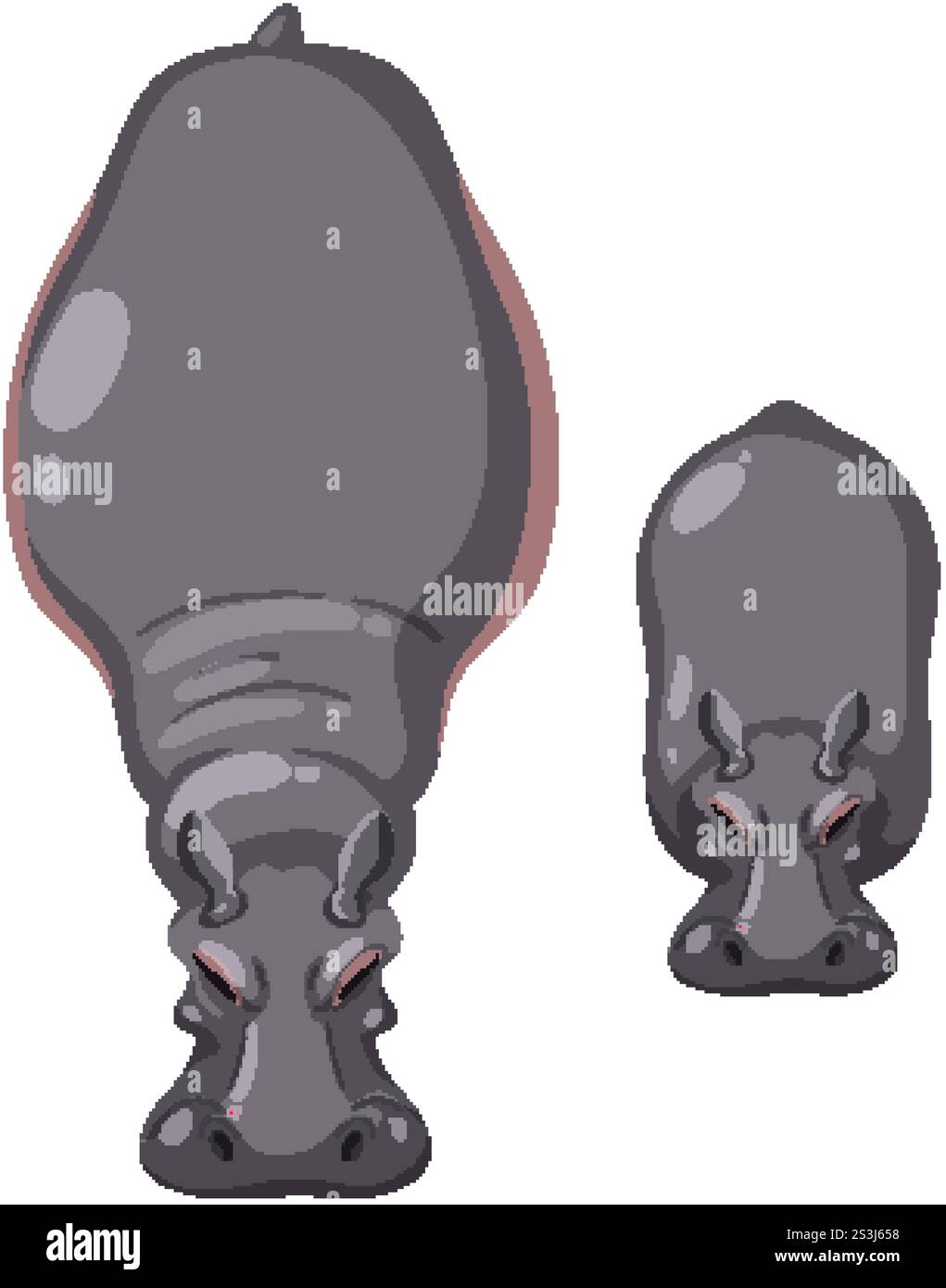 Illustration of two hippos from above perspective Stock Vector Image ...