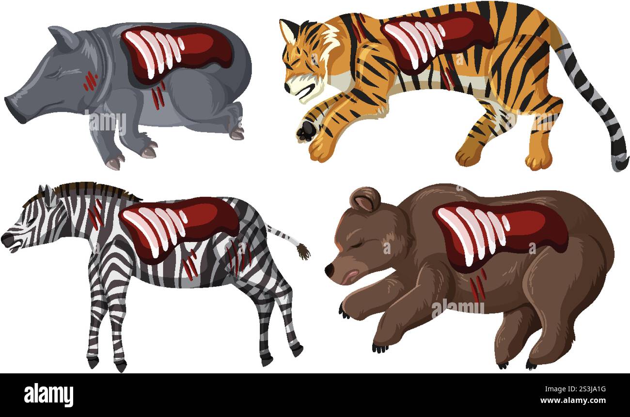 Top view of animals with visible internal organs Stock Vector Image ...