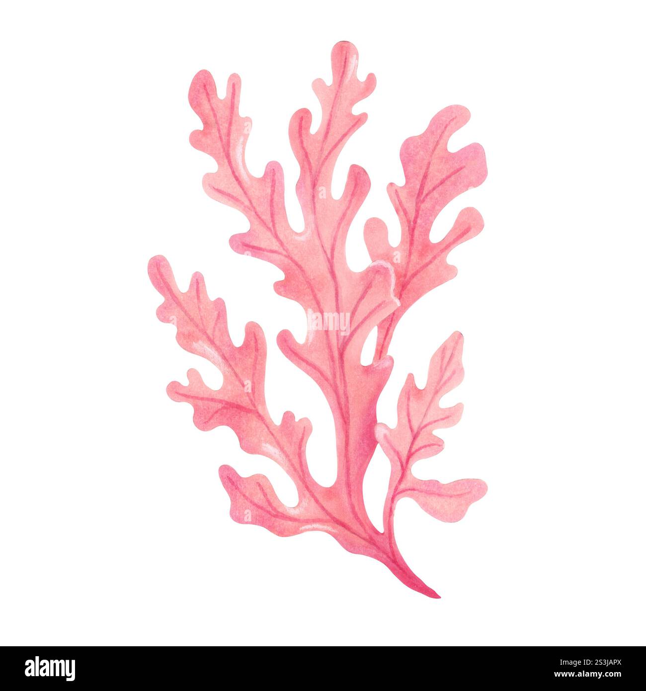 Pink underwater seaweed branch. Watercolor and marker illustration ...