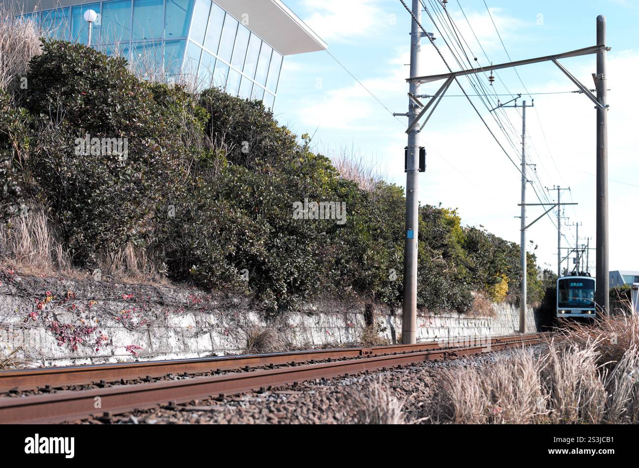"A moment on New Year's Eve 2024 capturing the sacred surfing spot of ...