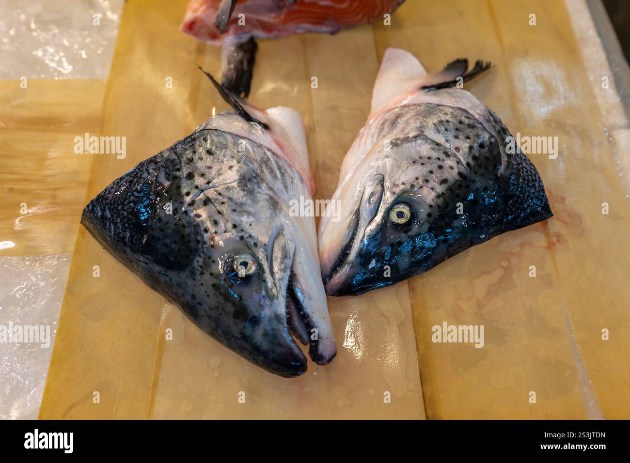 Fresh salmon head in the Taiwan street market in Taipei Stock Photo - Alamy