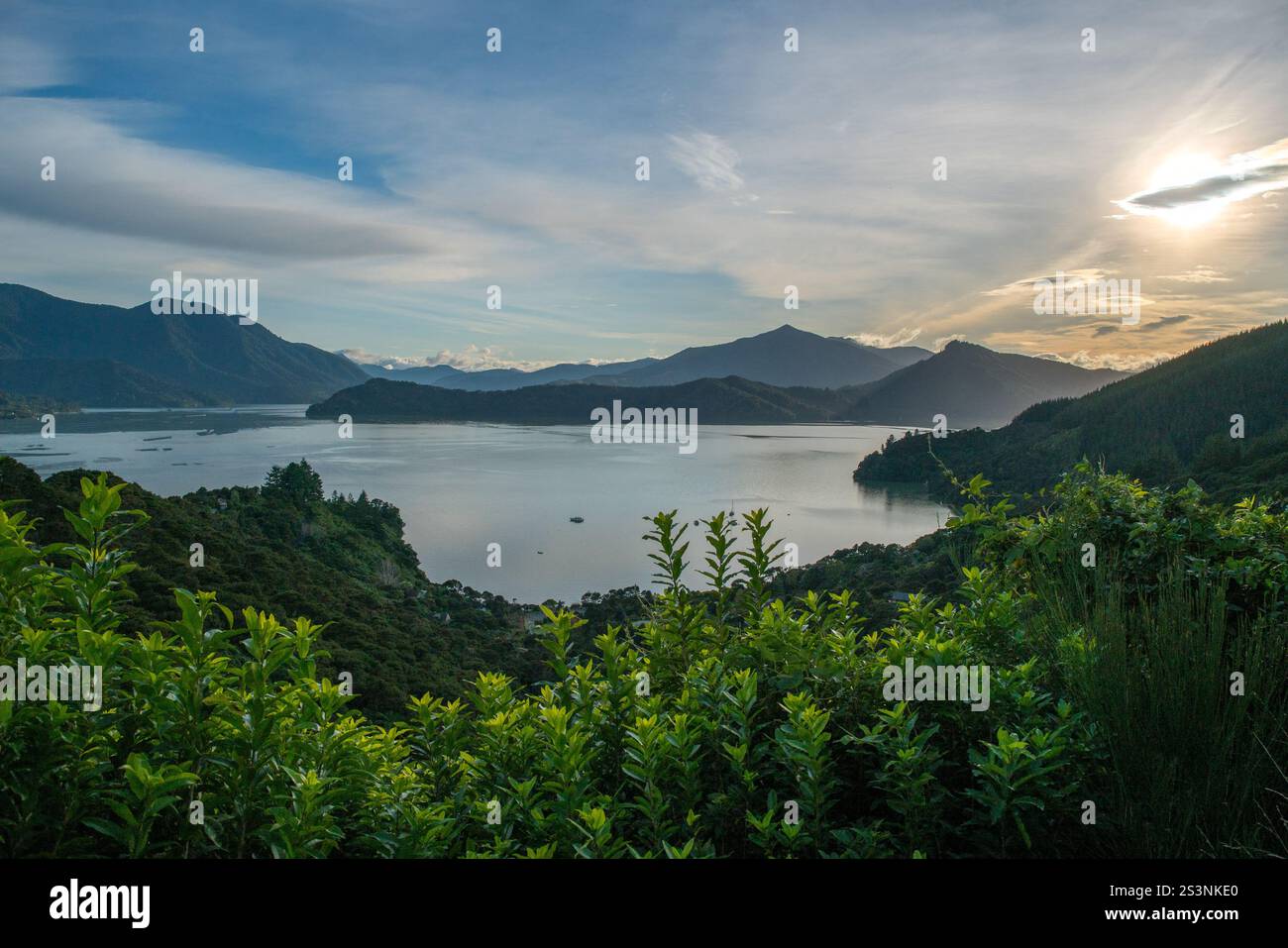 Scenery of the bays and coves in the Marlborough Sounds with some ...