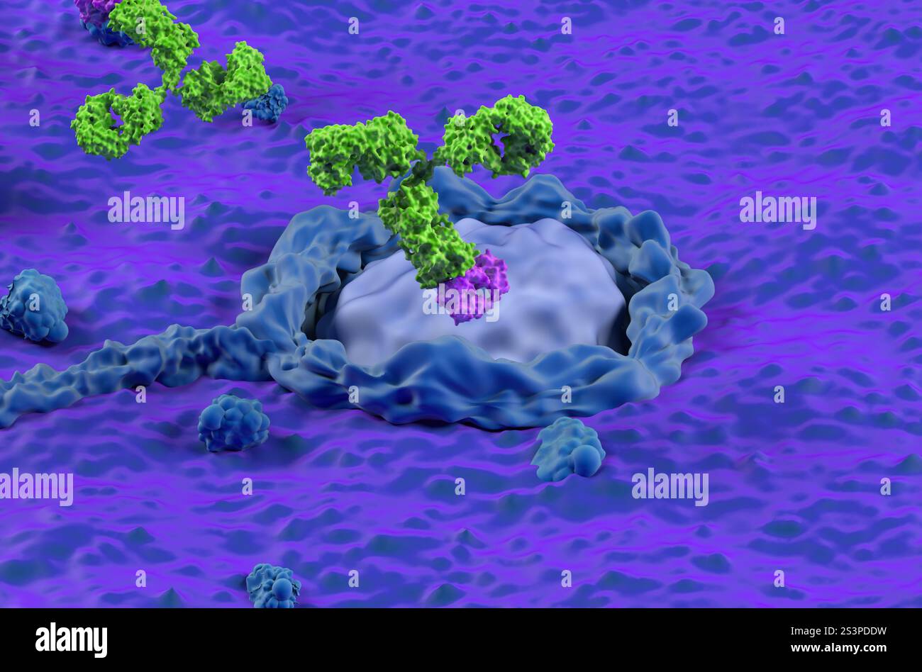 Monoclonal antibody treatment in Colon, Colorectal cancer (CRC ...