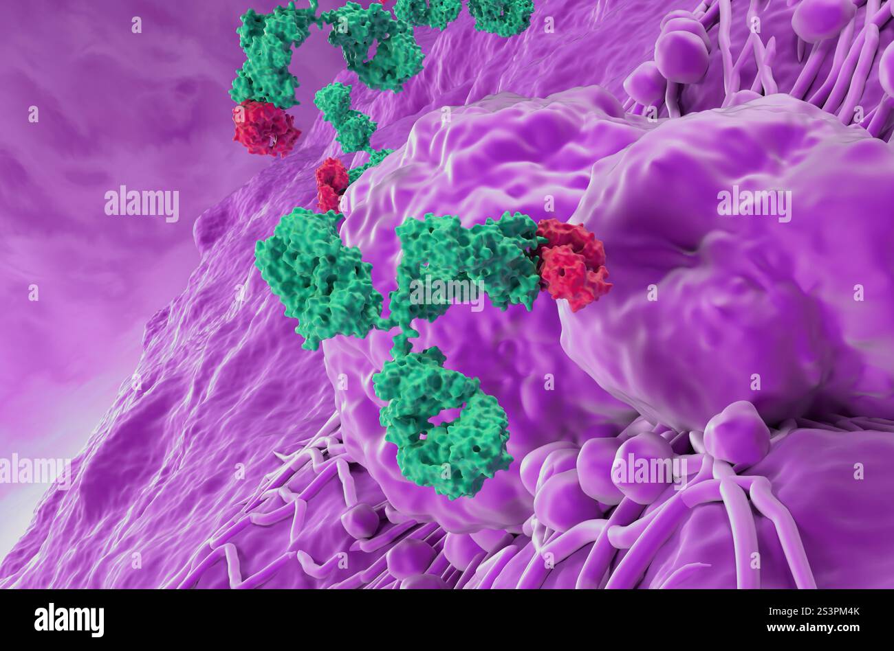 Monoclonal antibody treatment in Thyroid cancer - closeup view 3d ...
