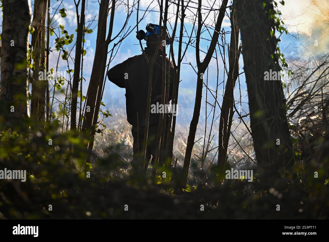 A man, possibly a forest ranger watching a controlled fire in woodland ...